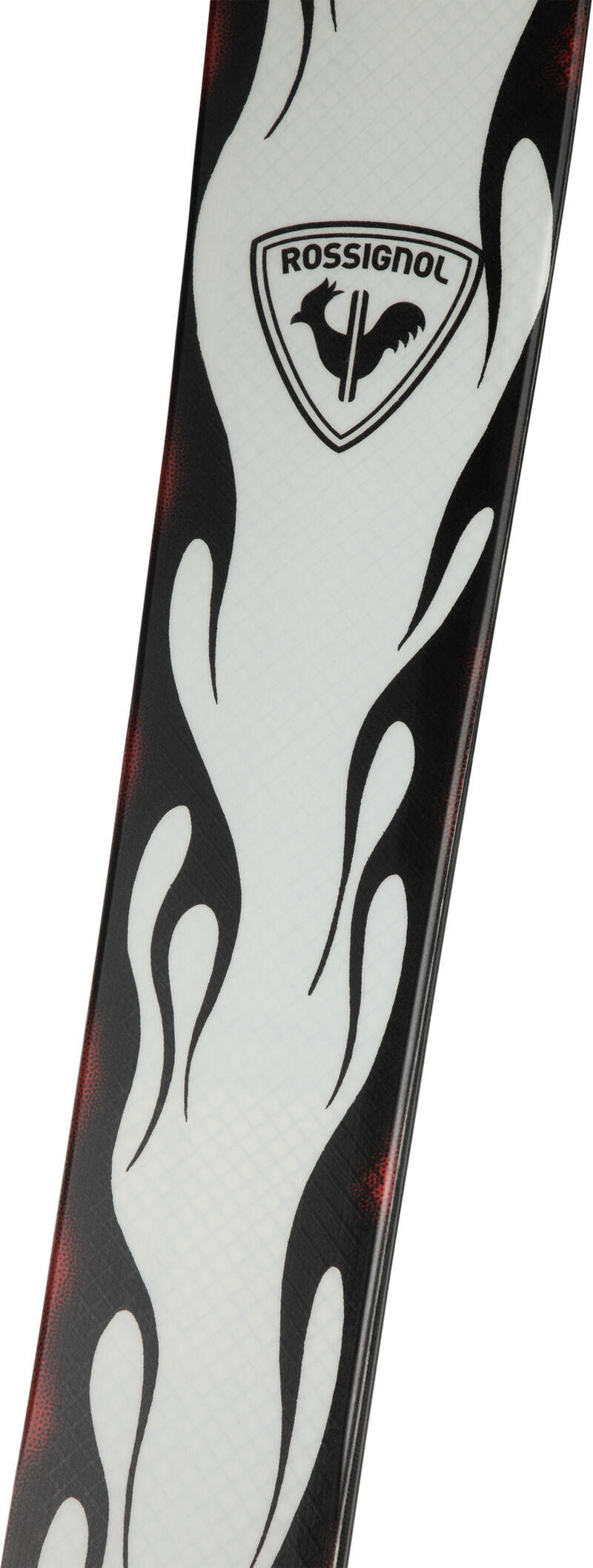 Men's freeride skis SENDER FREE 110 OPEN Max Palm Limited edition | To ...